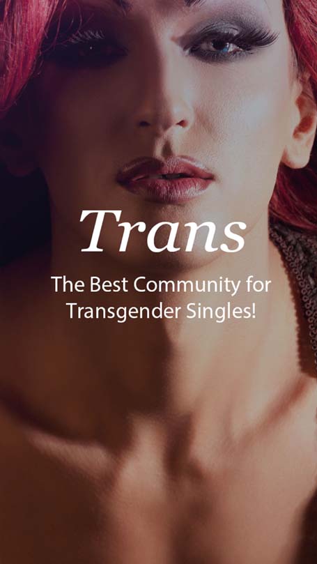 Trans Gets A New Update. Enjoy Stunning Design Experience On Version 3. ...