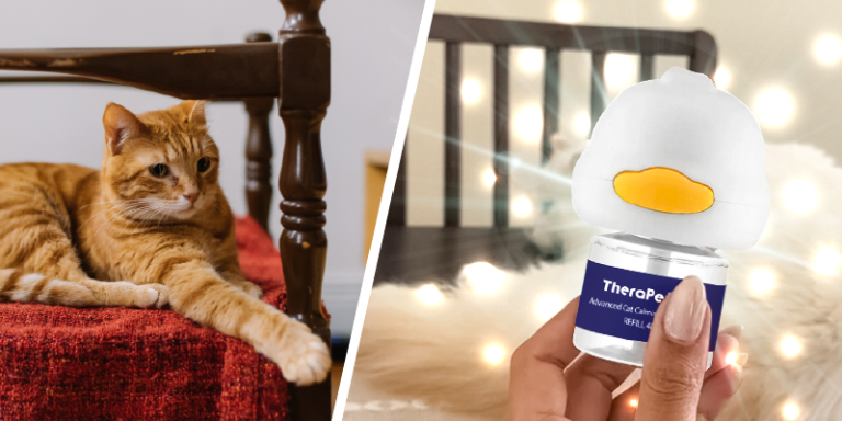 Therapet MD , a pioneer in feline well-being solutions, has unveiled a ...