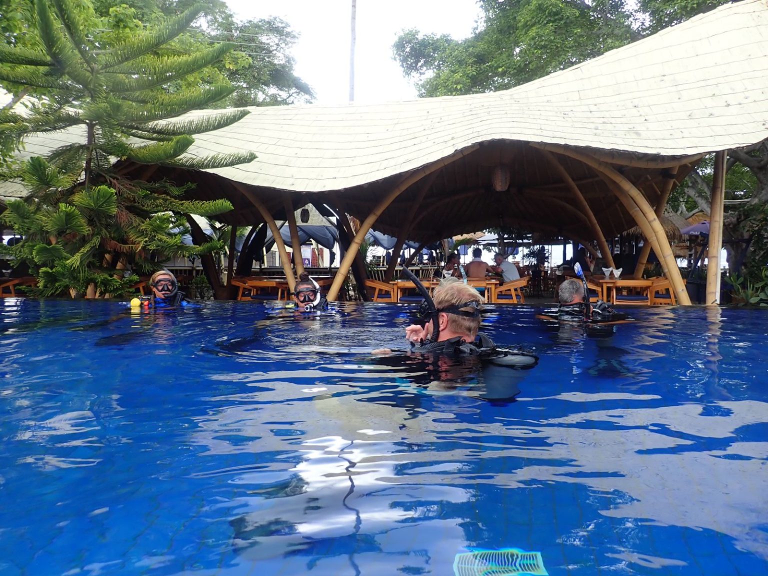 BPAS - Becoming a Confident and Environmentally Aware Scuba Diving ...