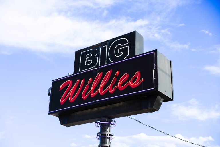 Big Willie’s Hosts Giving Tuesday Bingo Night to Support Animals in ...